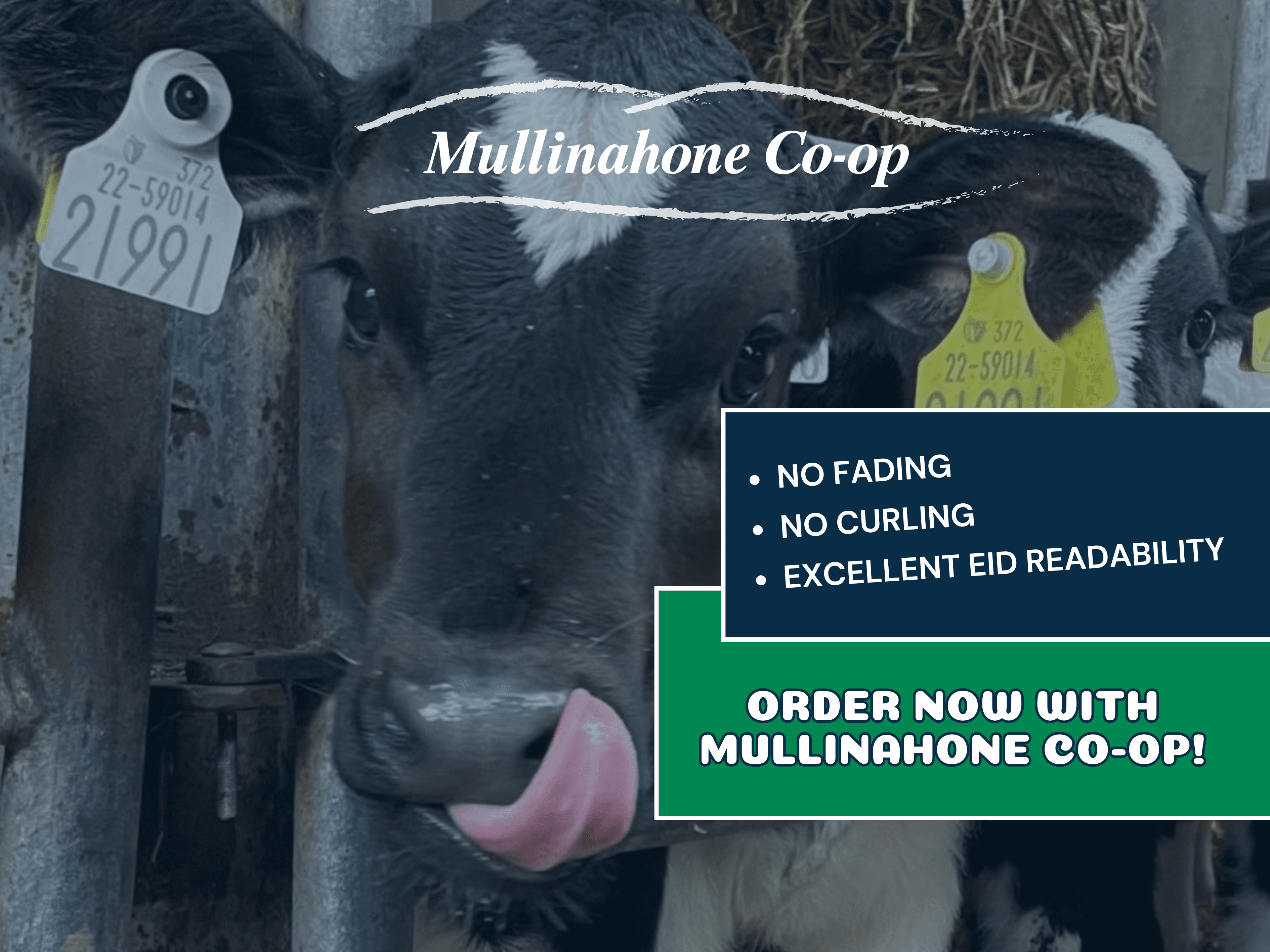 Mullinahone Co-Op